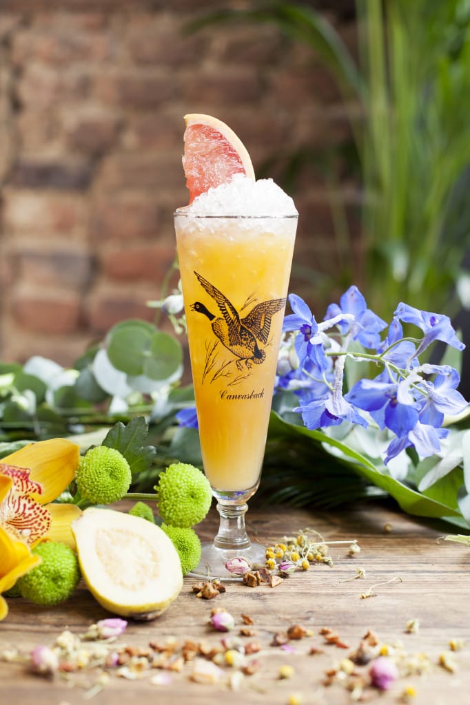 Hamiltons - Social and Cocktail